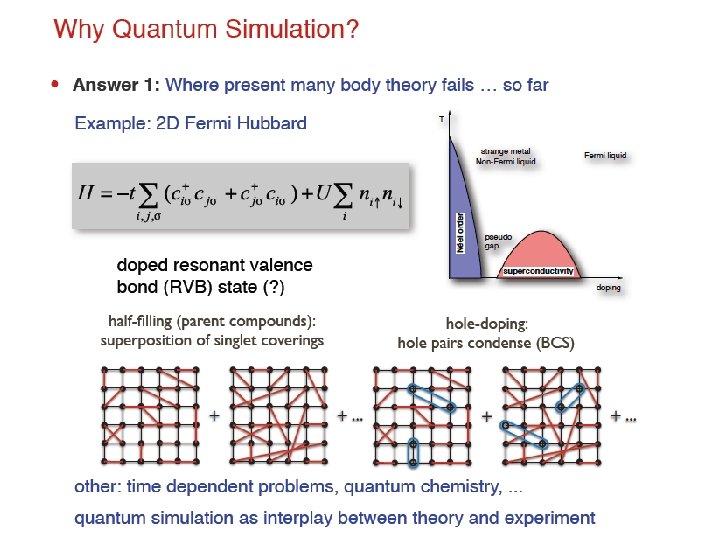 Simulation for the feature of nonAbelian anyons in
