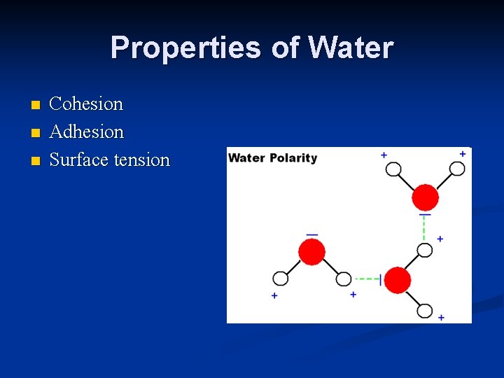 Basic Biochemistry Water Carbon and Functional Groups Water