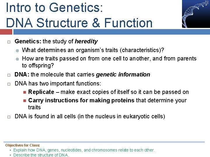 INTRODUCTION TO GENETICS DNA STRUCTURE FUNCTION PHA Biology
