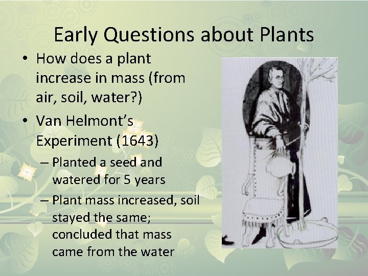 Photosynthesis Early Questions about Plants How does a