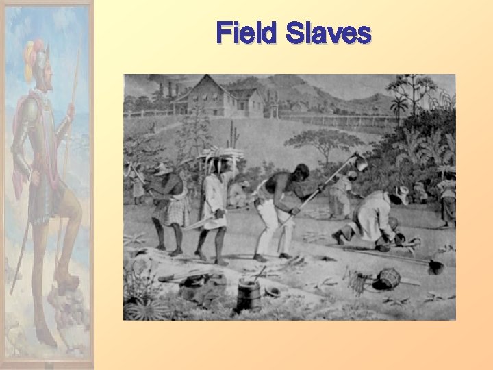 Setting the Stage North America was being colonized