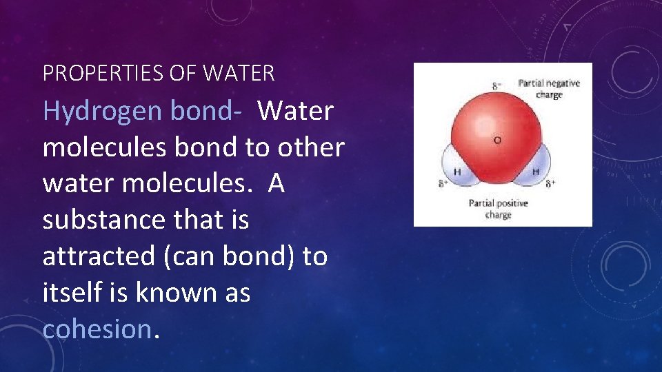 BIOCHEMISTRY 2 2 PROPERTIES OF WATER Polarity Water