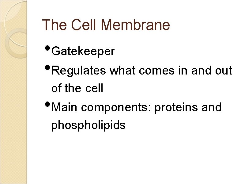 Chapter 7 3 The Cell Membrane Active Passive