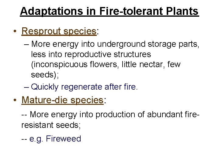 Ecology BIO C 322 Soil Ecology Fire Ecology