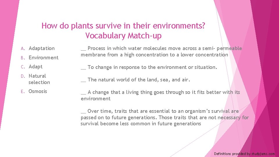 How do plants survive in their environments Brittani
