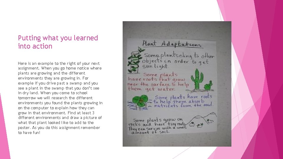 How do plants survive in their environments Brittani