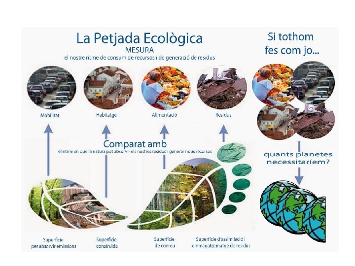 UNITAT 5 DESENVOLUPAMENT SOSTENIBLE NDEX El nostre present