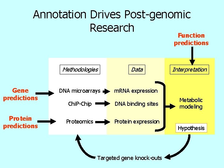 Automated Annotation of Microbial Genomes Opportunities and Pitfalls