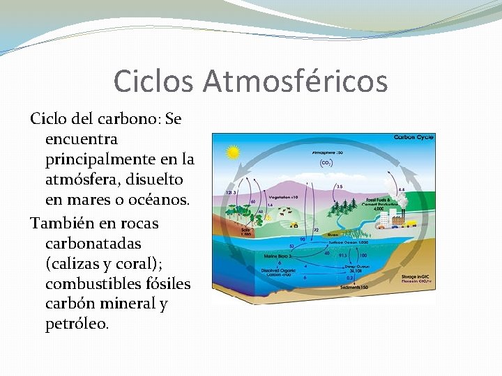 CICLOS BIOGEOQUMICOS Definicin y componentes Son movimientos de