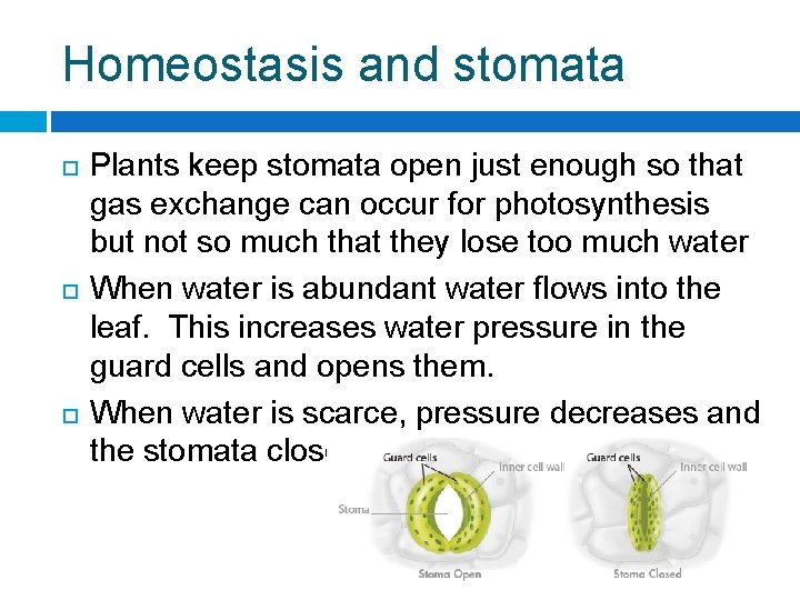 29 1 Plant Nutrients and Availability in Soil