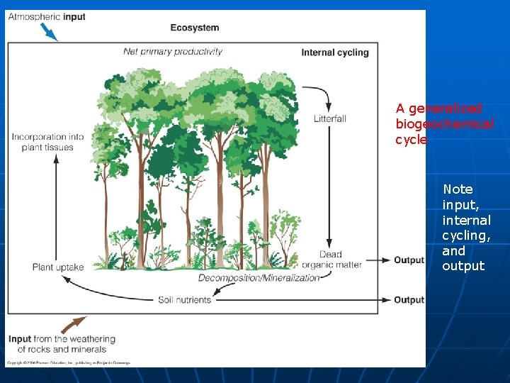 BIOL 4120 Principles of Ecology Lecture 20 Ecosystem