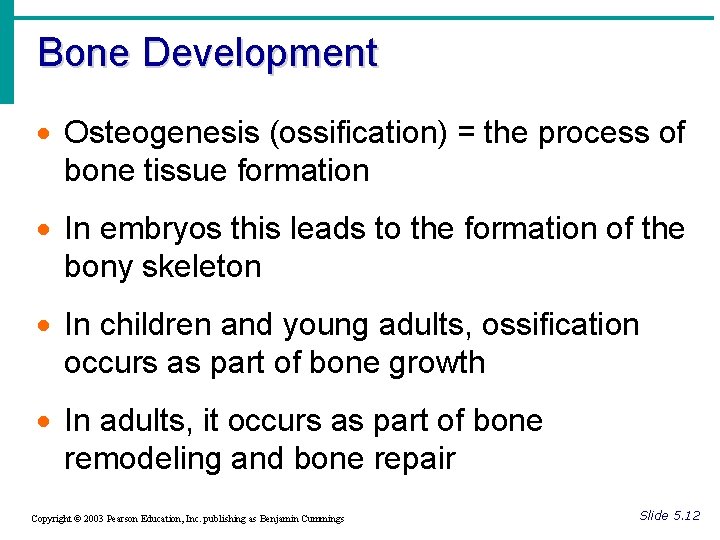 The Skeletal System Part II Bone Development Osteogenesis