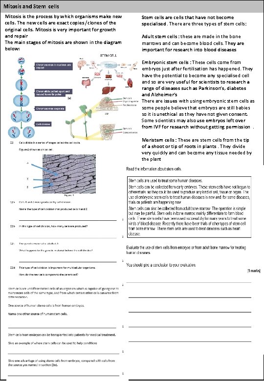 cell biology revision Keywords organelle diffusion osmosis mitosis