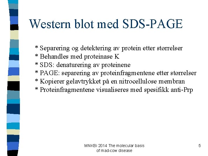 Deteksjonsmetoder for Prionprotein Immunhistokjemi Western Blot Immunoassay Bioassay