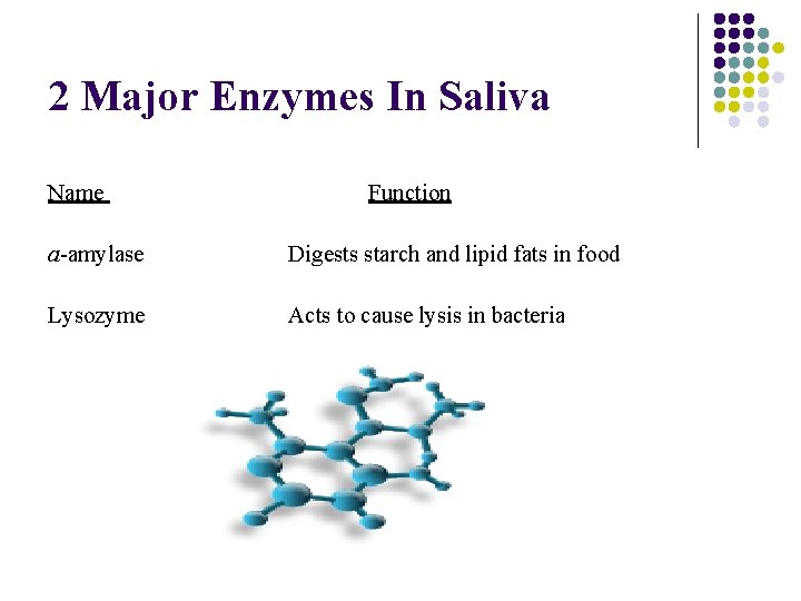Antimicrobial Effects of Human Saliva Steven Esposito Pittsburgh