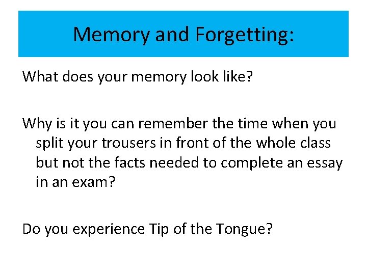 Memory Assembly Memory and Forgetting What does your