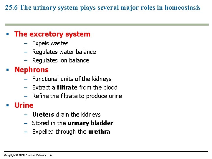 Chapter 25 Control of Body Temperature and Water