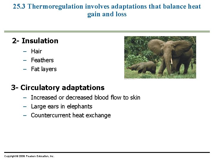 Chapter 25 Control of Body Temperature and Water