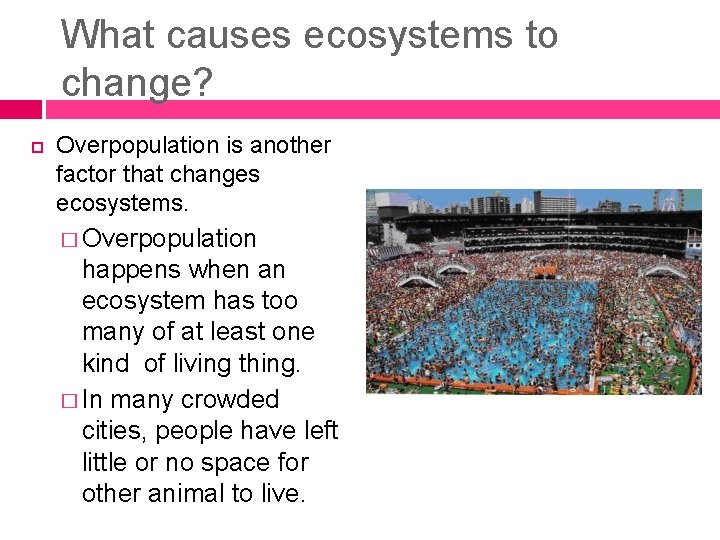 CHANGES IN ECOSYSTEMS Chapter 1 Lesson 5 Objectives