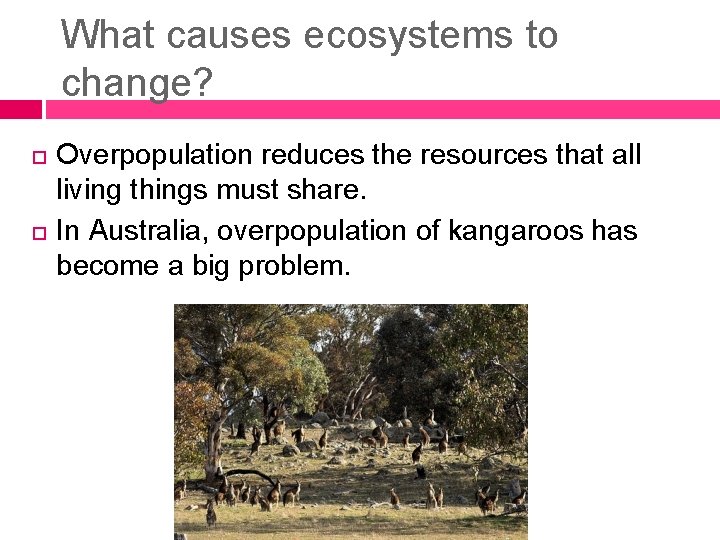 CHANGES IN ECOSYSTEMS Chapter 1 Lesson 5 Objectives