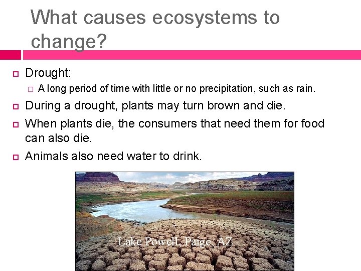 CHANGES IN ECOSYSTEMS Chapter 1 Lesson 5 Objectives