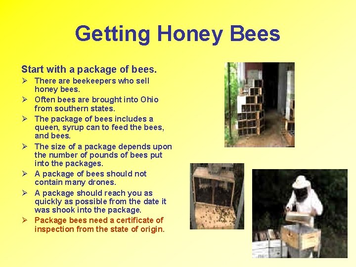 Getting Started in Beekeeping The building shown above