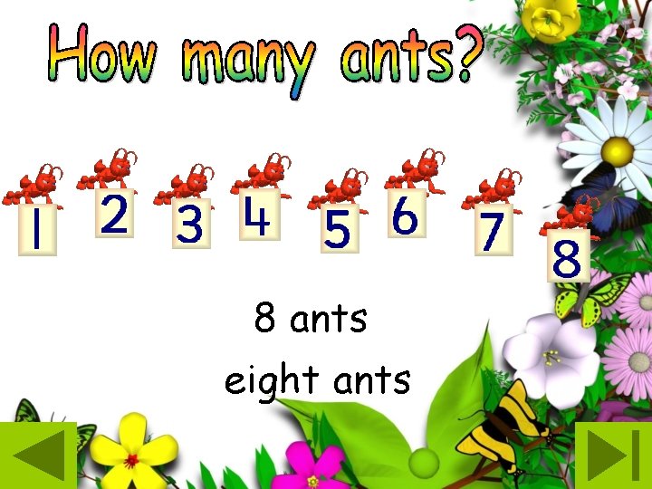 Minibeast Numbers An interactive number formation and counting