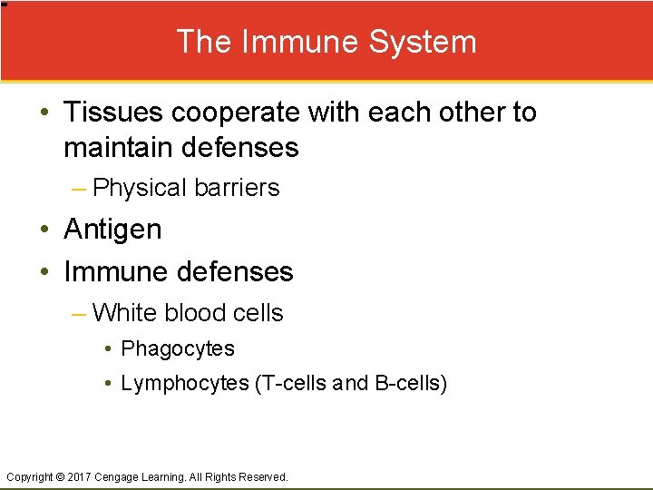 3 The Remarkable Body Copyright 2017 Cengage Learning