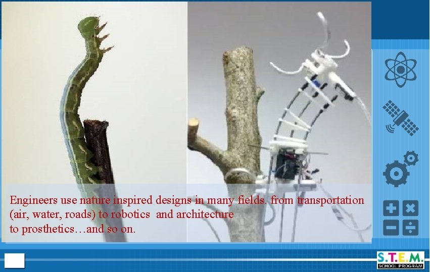 BIOMIMICRY INSPIRATION FROM NATURE Life Science Biology Design