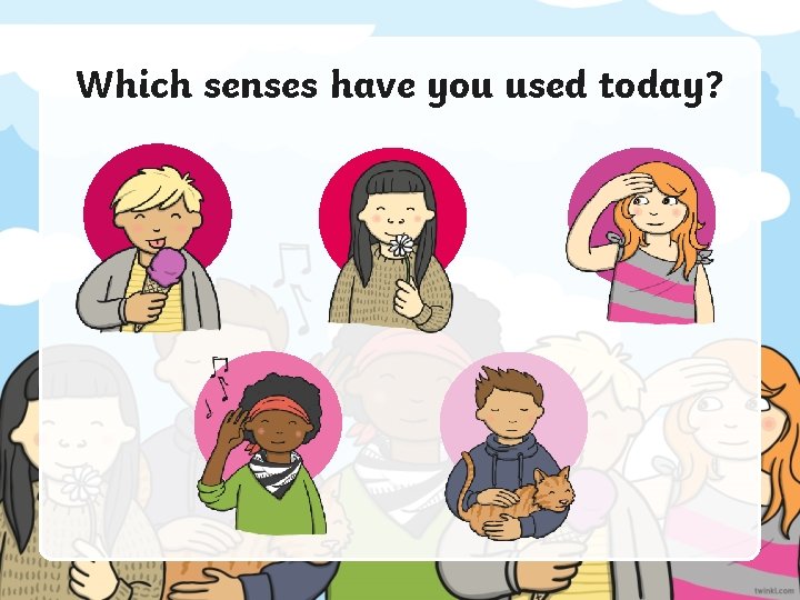 Our Senses Your body is very clever it