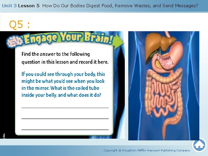 Unit 3 Lesson 5 How Do Our Bodies