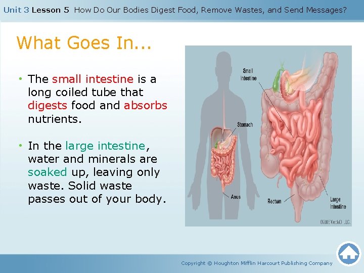 Unit 3 Lesson 5 How Do Our Bodies