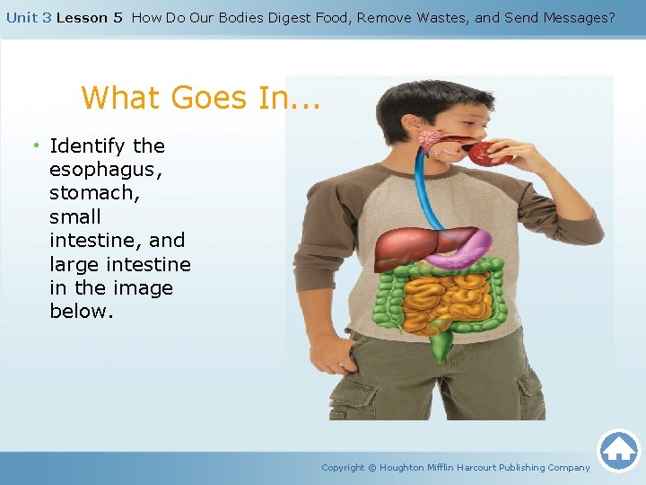 Unit 3 Lesson 5 How Do Our Bodies