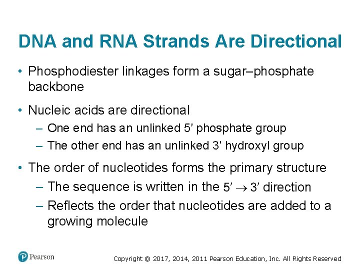 Biological Science Sixth Edition Chapter 4 Nucleic Acids