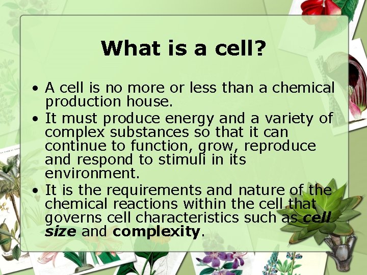 What does it mean to be a cell