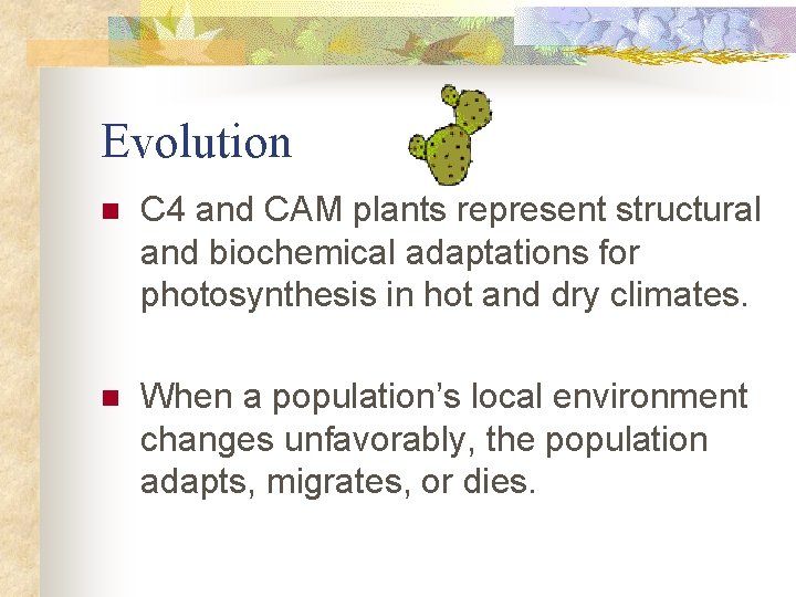 Major Themes of AP Biology Adapted from The