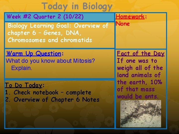 Today in Biology Homework Make Biology Learning Goal