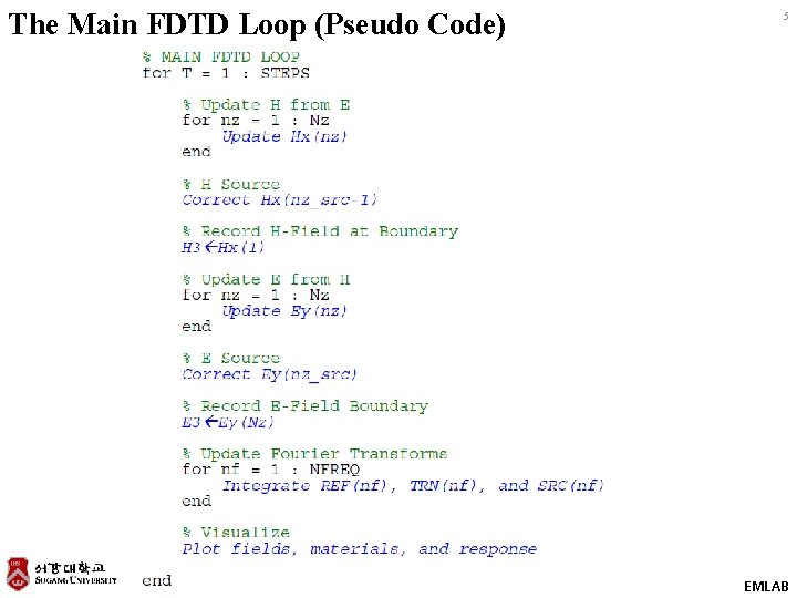 1 Examples of OneDimensional FDTD EMLAB Typical FDTD