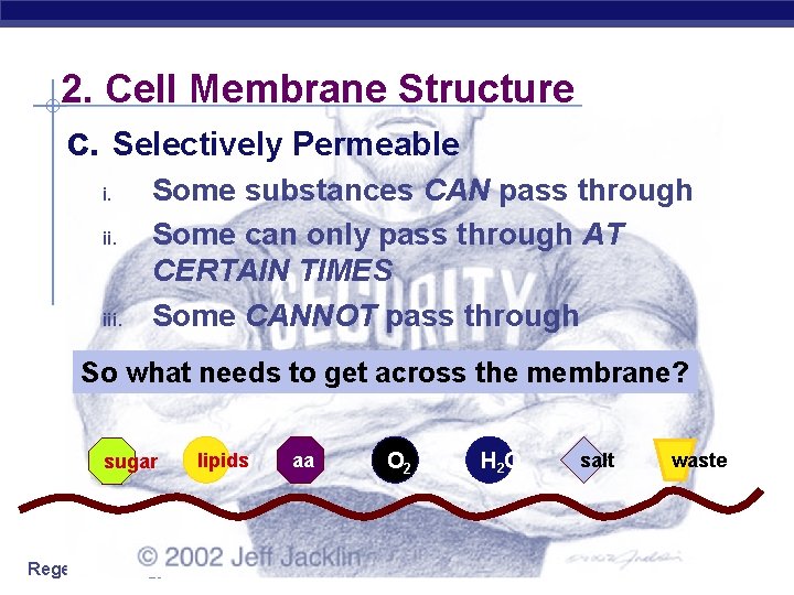 Cell Membranes Movement Across Them Regents Biology 2006