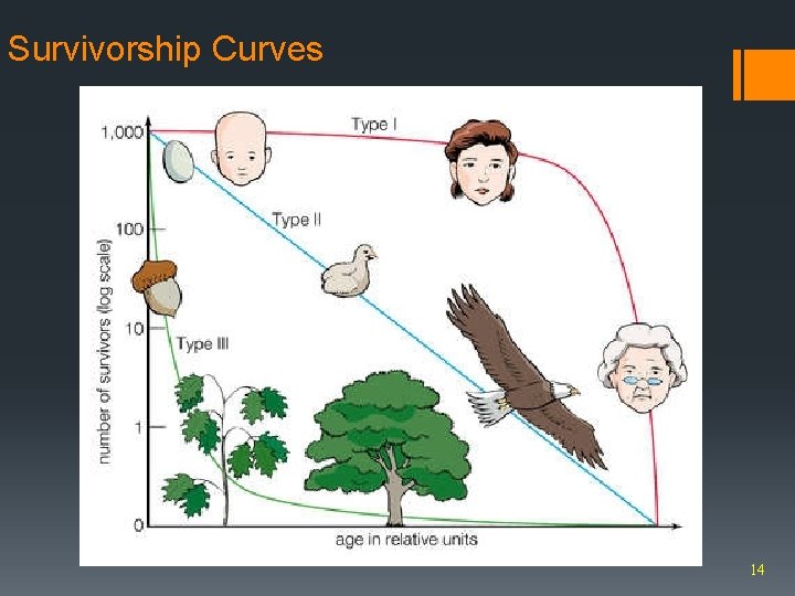 Population Ecology 1 Biotic Potential Unrestrained biological reproduction