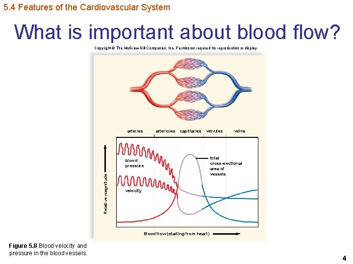Human Biology Sylvia S Mader Michael Windelspecht Chapter