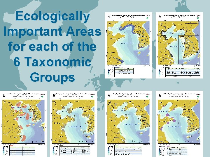 Critical habitats for biodiversity in the Yellow Sea