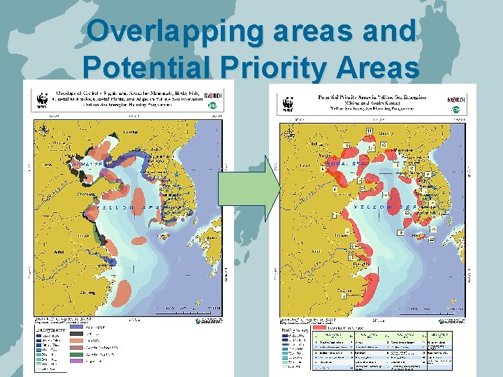 Critical habitats for biodiversity in the Yellow Sea