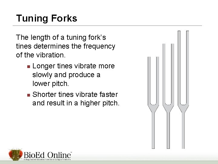 A Sound Education Good Vibrations An oscilloscope allows