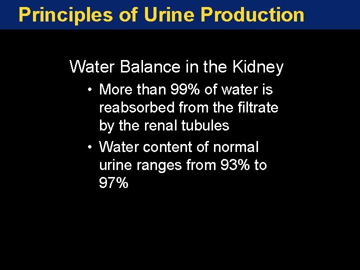 Urinary System Organization The Golden Rule The Job