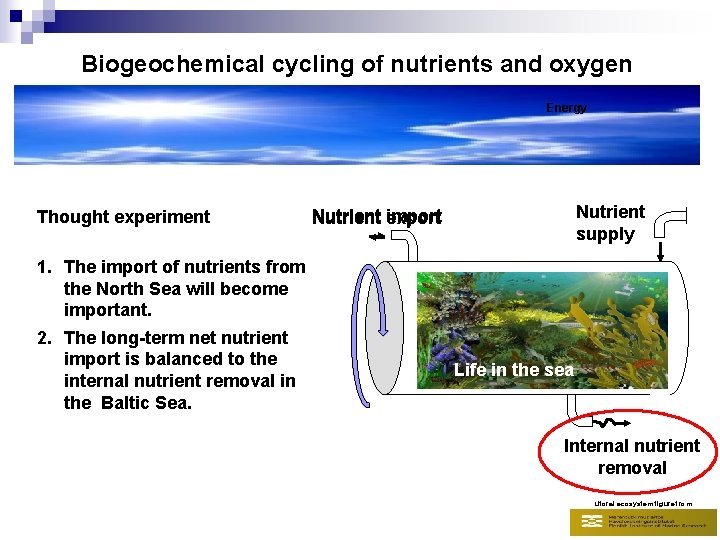 Ocean biogeochemistry with application on the Baltic Sea