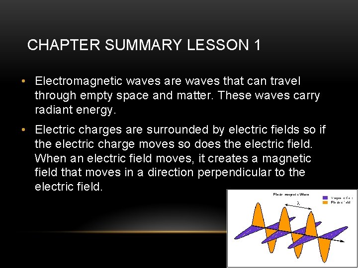 Science Class Project Science Project By Gabriela Guerra