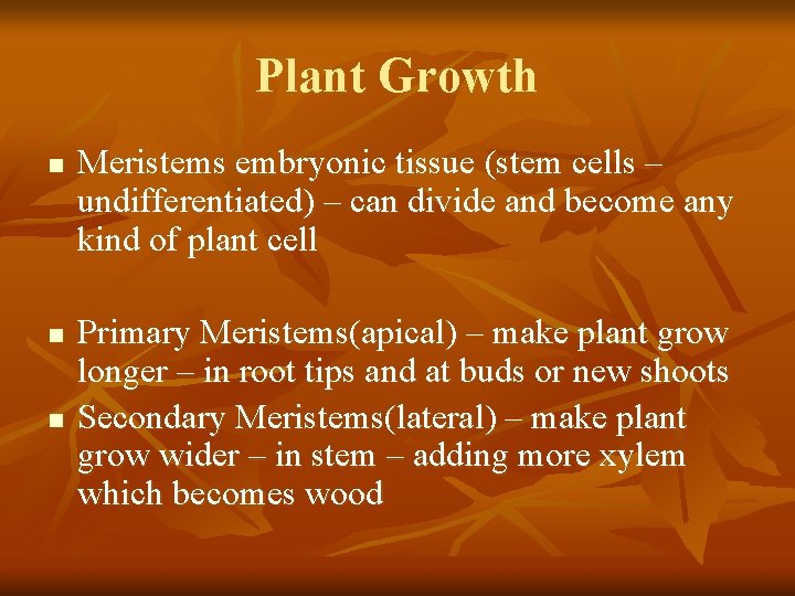 Plant Physiology Chapters Angiosperms Flowering Plants AP Biology