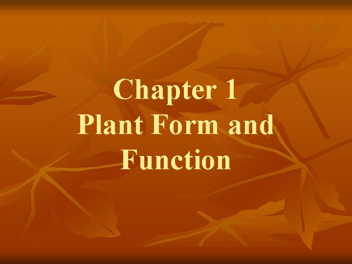 Plant Physiology Chapters Angiosperms Flowering Plants AP Biology
