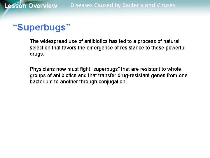 Lesson Overview Diseases Caused by Bacteria and Viruses